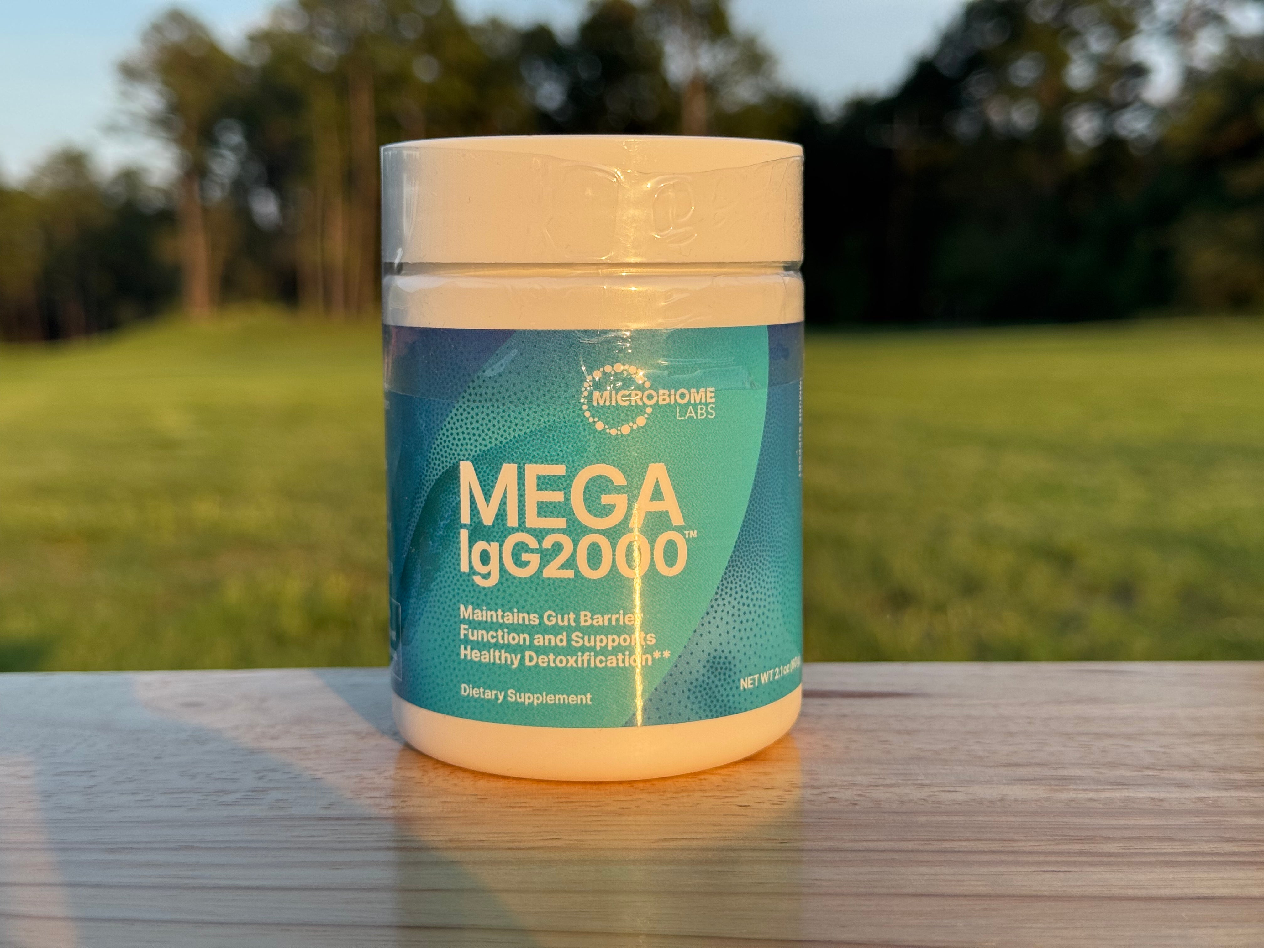 Mega IgG 2000 Powder – Hope for Healing